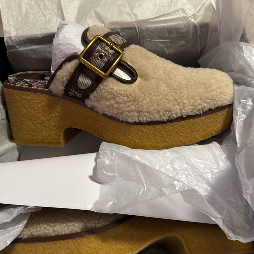 Coach Dylan Clog - Gem